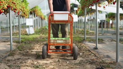 Building Long-Term Partnerships in Fruit Growing: W B Chambers x Agricare